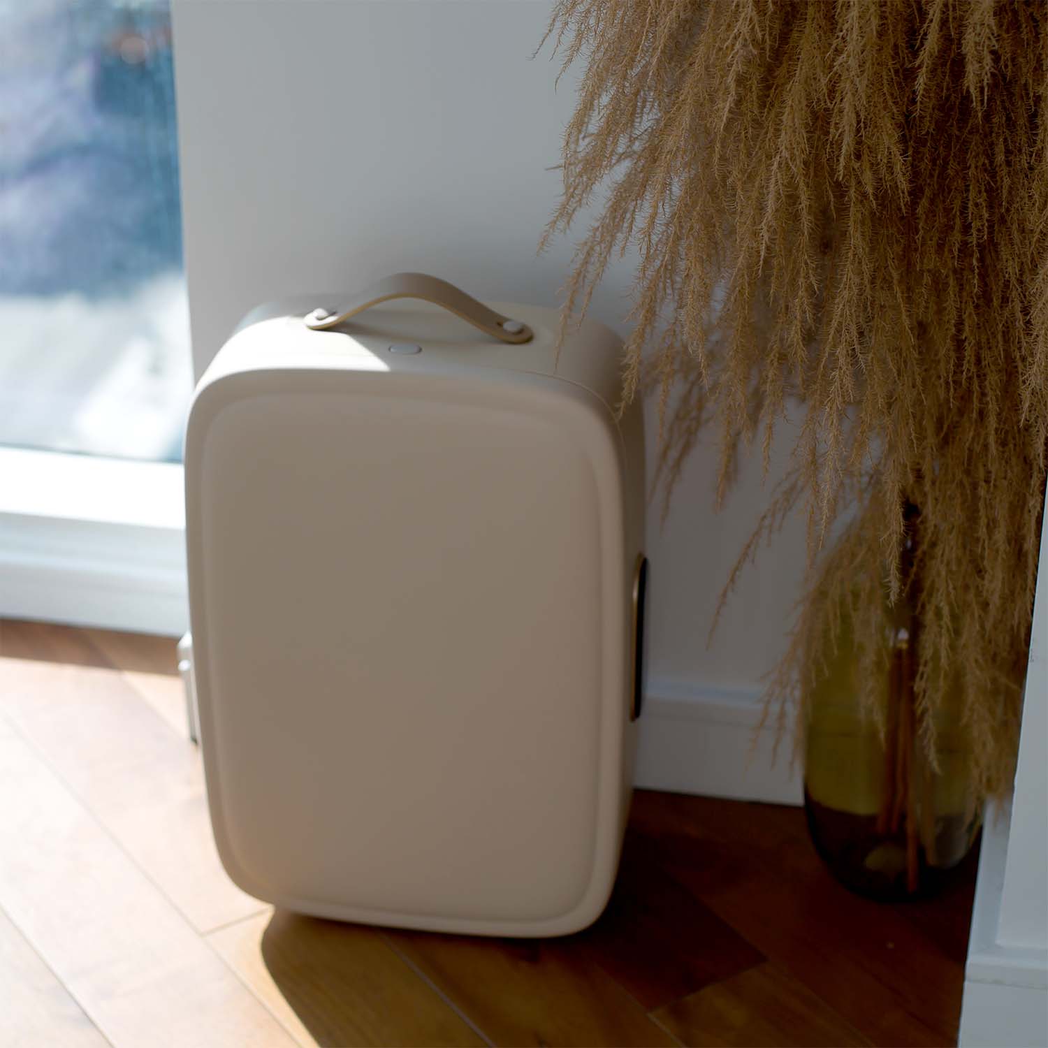 Everday Steam Closet